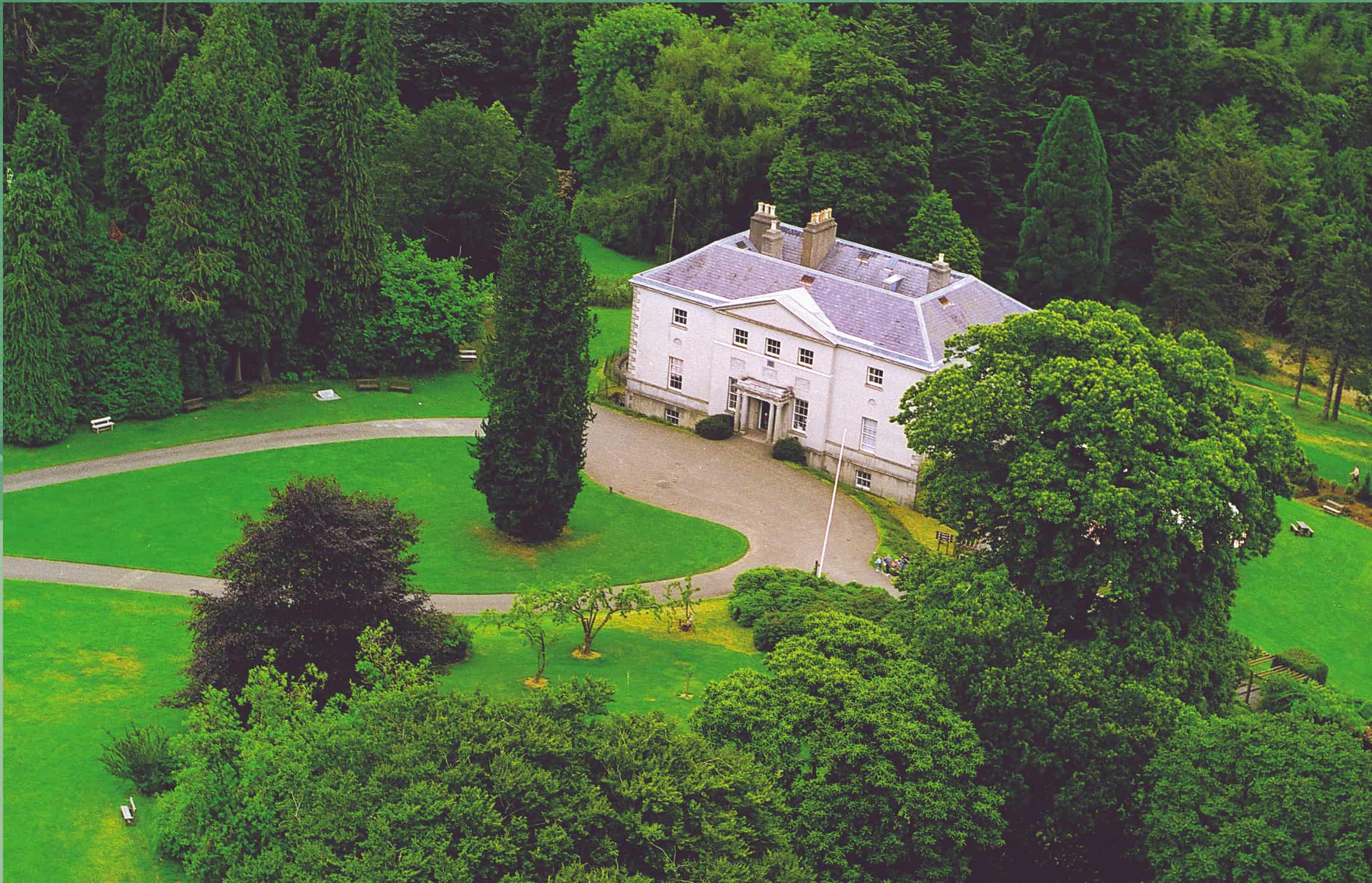 Beyond The Trees Avondale